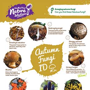 Tree Tools for Schools - Woodland Trust