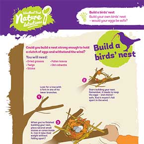 Tree Tools for Schools - Woodland Trust