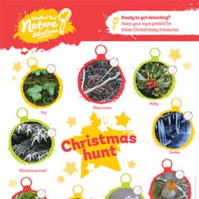 Tree Tools for Schools - Woodland Trust