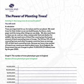 Tree Tools for Schools - Woodland Trust