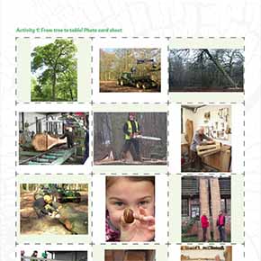 Tree Tools for Schools - Woodland Trust
