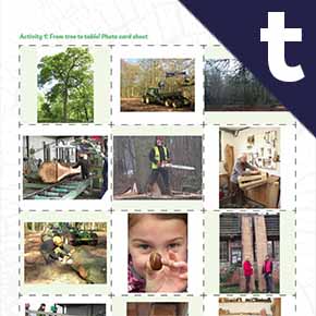 Tree Tools for Schools - Woodland Trust