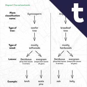 Tree Tools for Schools - Woodland Trust