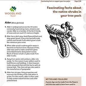 Tree Tools for Schools - Woodland Trust