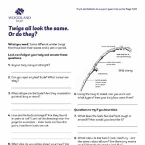 Tree Tools for Schools - Woodland Trust