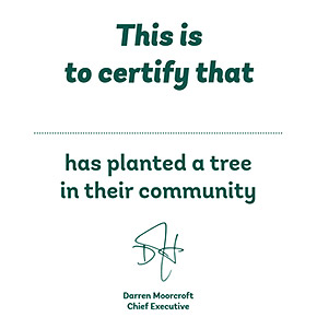 Tree Tools for Schools - Woodland Trust