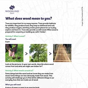 Tree Tools for Schools - Woodland Trust