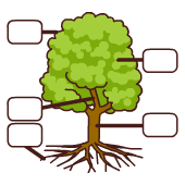 Tree Tools for Schools - Woodland Trust