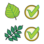 Tree Tools for Schools - Woodland Trust